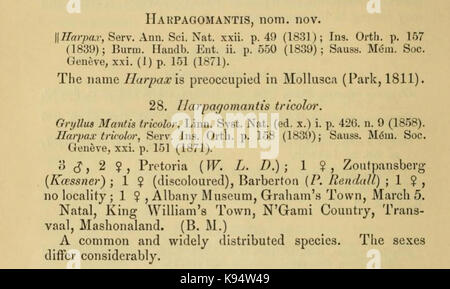 Kirby 1899 Harpagomantis Stock Photo - Alamy