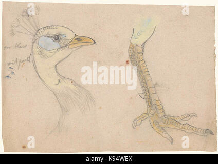 Kop en poot van een pauw (1873–1917) print in high resolution by Theo ...