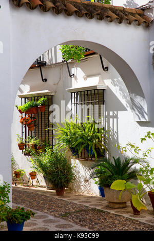 Typical andalusian courtyard in Cordoba, Andalusia Spain with a lot of ...