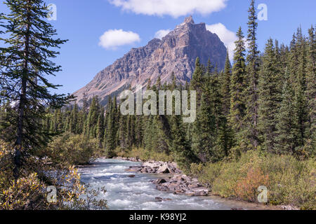 Tonquin Valley trail, Jasper National Park, Alberta, Canada Stock Photo ...