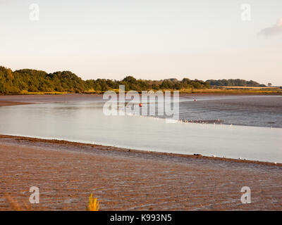 river country scene landscape with wader birds tide out and mud flats ...
