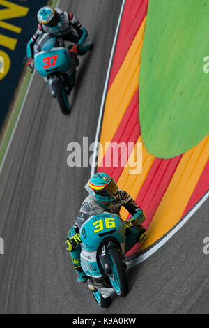 36 MIR Joan (spa), Honda HRC Castrol, Honda RC213V, action during the ...