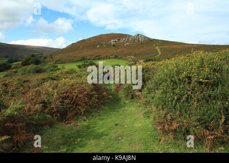 Bell Tor at autumn, Dartmoor, Devon, England, UK Stock Photo - Alamy