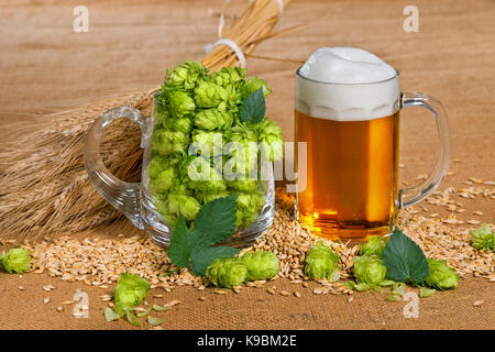 beer and raw material for beer production Stock Photo - Alamy