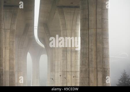 Pillars of the highway bridge in mysterious morning fog. Prague, Czech ...