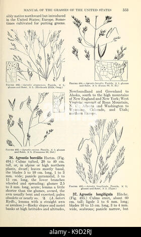 This botanical manual provides descriptions and identification ...