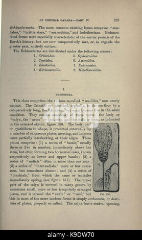 This page from 'The Minerals and Geology of Central Canada' offers ...