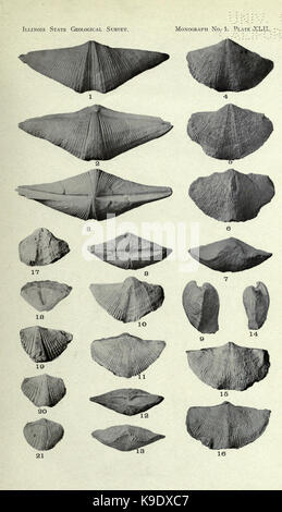 Monograph 1 (Page 101 Stock Photo - Alamy