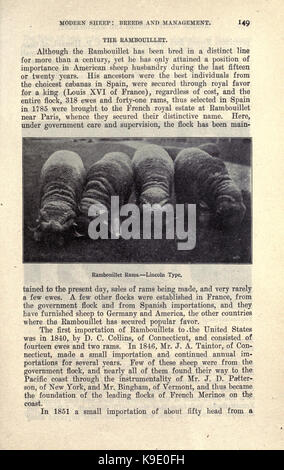 Modern sheep, breeds and management (Page 125 Stock Photo - Alamy