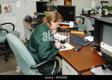 Female fingerprint technician sitting, classifying and identifying ...