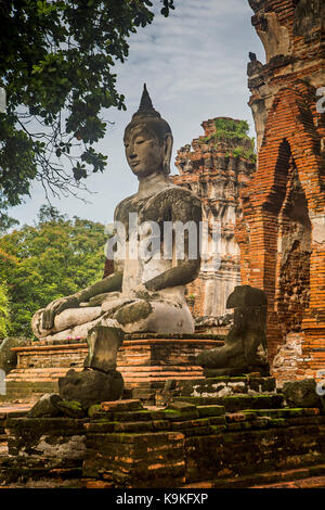 Thailand, Ayutthaya, ruins of Wat Mahathat Stock Photo - Alamy