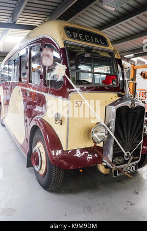 Cream and maroon vintage bus Stock Photo - Alamy