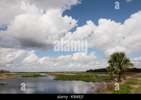 The Emeralda Marsh Conservation Area in Leesburg, Florida Stock Photo ...