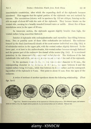. Ordovician fossils of north China. Paleontology; Paleontology. Vol I ...