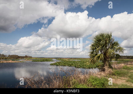 The Emeralda Marsh Conservation Area in Leesburg, Florida Stock Photo ...