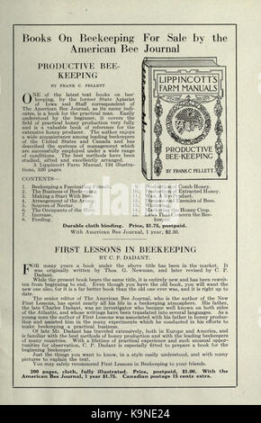 Practical queen rearing Stock Photo - Alamy