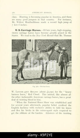 Points of the horse (Page 566 Stock Photo - Alamy