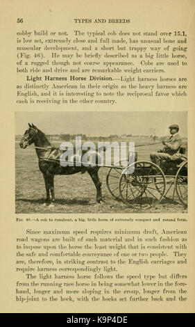 . Productive horse husbandry. Horses; Horses. 56 TYPES AND BREEDS cobby ...
