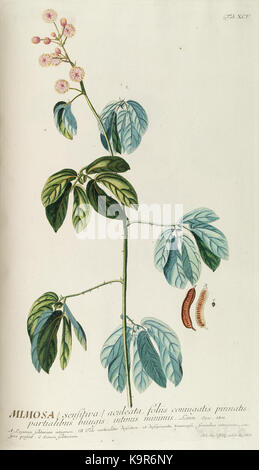 This botanical illustration, 'Plantae Selectae', shows detailed images ...