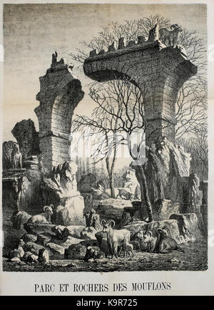 Promenade au jardin zoologique d'Anvers, Anvers, J.-E. Buschmann, 1861 ...