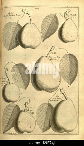 'Pomona, or, The Fruit Garden Illustrated' is a historical botanical ...