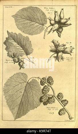 'Pomona, or, The Fruit Garden Illustrated' is a historical botanical ...