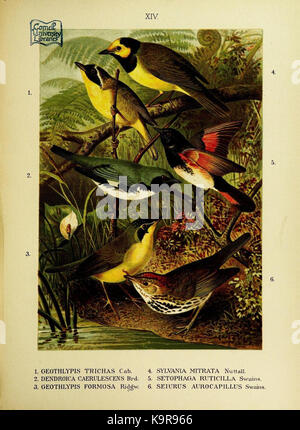 'Our Native Birds of Song and Beauty' is a book illustrating various ...