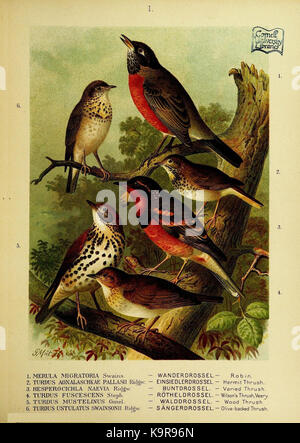 'Our Native Birds of Song and Beauty' is a book illustrating various ...