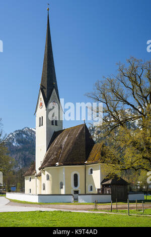 Green meadow, trees and snowy mountains in spring time, Austria Stock ...