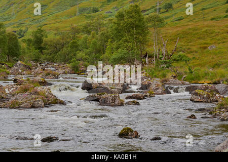 River Garry as it flows out of Loch Quoich, Northwest Highlands ...