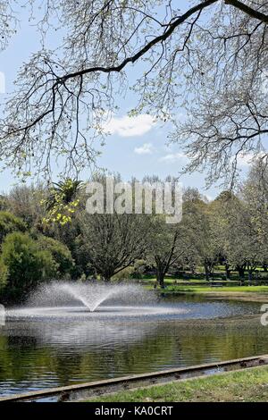Hyde Park Perth Spring Stock Photo - Alamy