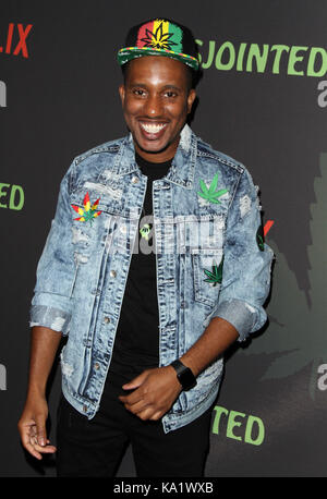 Disjointed Premiere Screening held at the Netflix Theatre in Hollywood ...