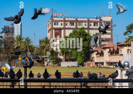Marine lines station, mumbai, maharashtra, India, Asia Stock Photo - Alamy