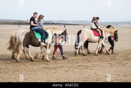 Donkey Rides Porthcawl Beach South Wales Stock Photo - Alamy