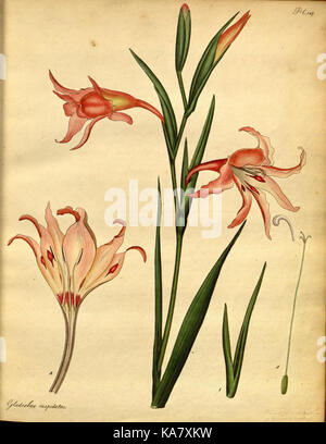 A botanical repository featuring new and rare plant species, with ...