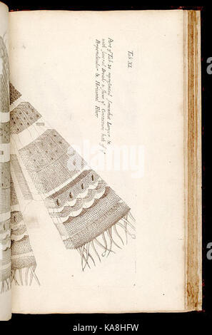 This botanical reference explores the anatomy of plants, specifically ...