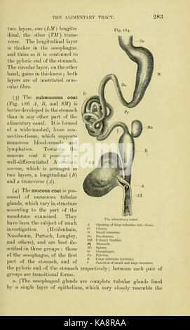 . The biology of the frog. Frogs. THE CIRCULATORY SYSTEM 289 External ...