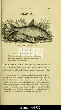 A comprehensive guide for anglers on fish species, fly fishing ...