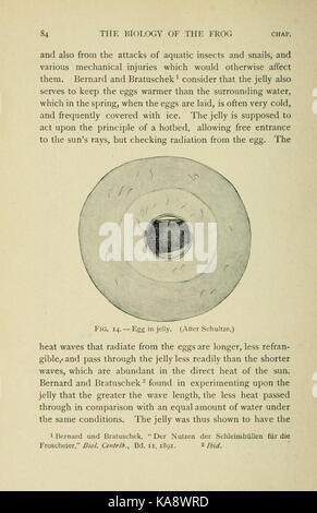 . The anatomy of the frog. Frogs -- Anatomy; Amphibians -- Anatomy. 84 ...