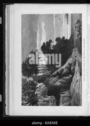 The Amazon and Madeira rivers Stock Photo - Alamy