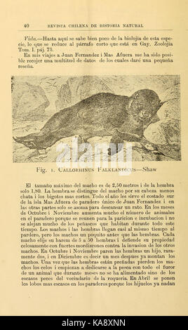 Revista Chilena de Historia Natural Stock Photo - Alamy