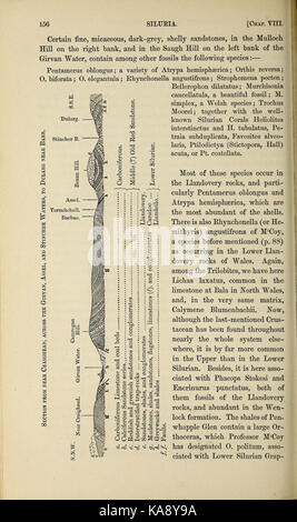 Sir Roderick J. Murchison Stock Photo - Alamy