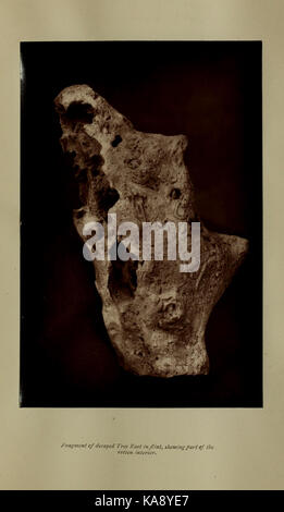 The chalk and flint formation Stock Photo - Alamy