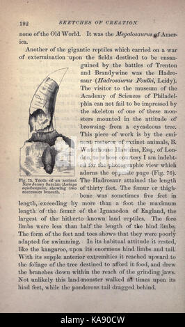 Sketches of creation (Page 192 Stock Photo - Alamy