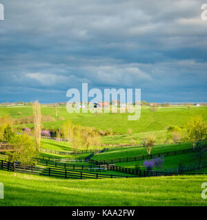 Springtime in Kentucky Stock Photo - Alamy