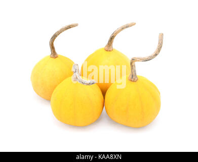Four small yellow ornamental gourds Stock Photo - Alamy