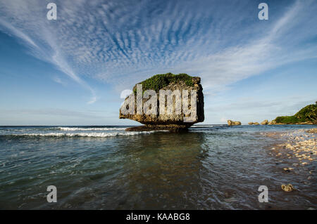 Rock formation on the beach of Bathsheba, East coast of island Barbados ...