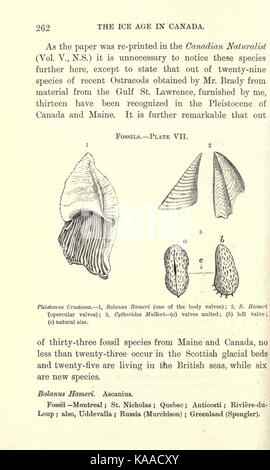The Canadian ice age (Page 262) BHL22030629 Stock Photo - Alamy