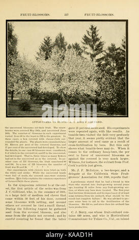 This page from 'The ABC and XYZ of Bee Culture' covers the basics of ...