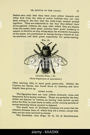 This guide provides detailed instructions on beekeeping and apiary ...